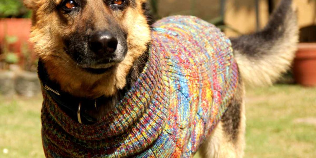Dog Sweaters 100 wool Everest Pet Supply Gifts